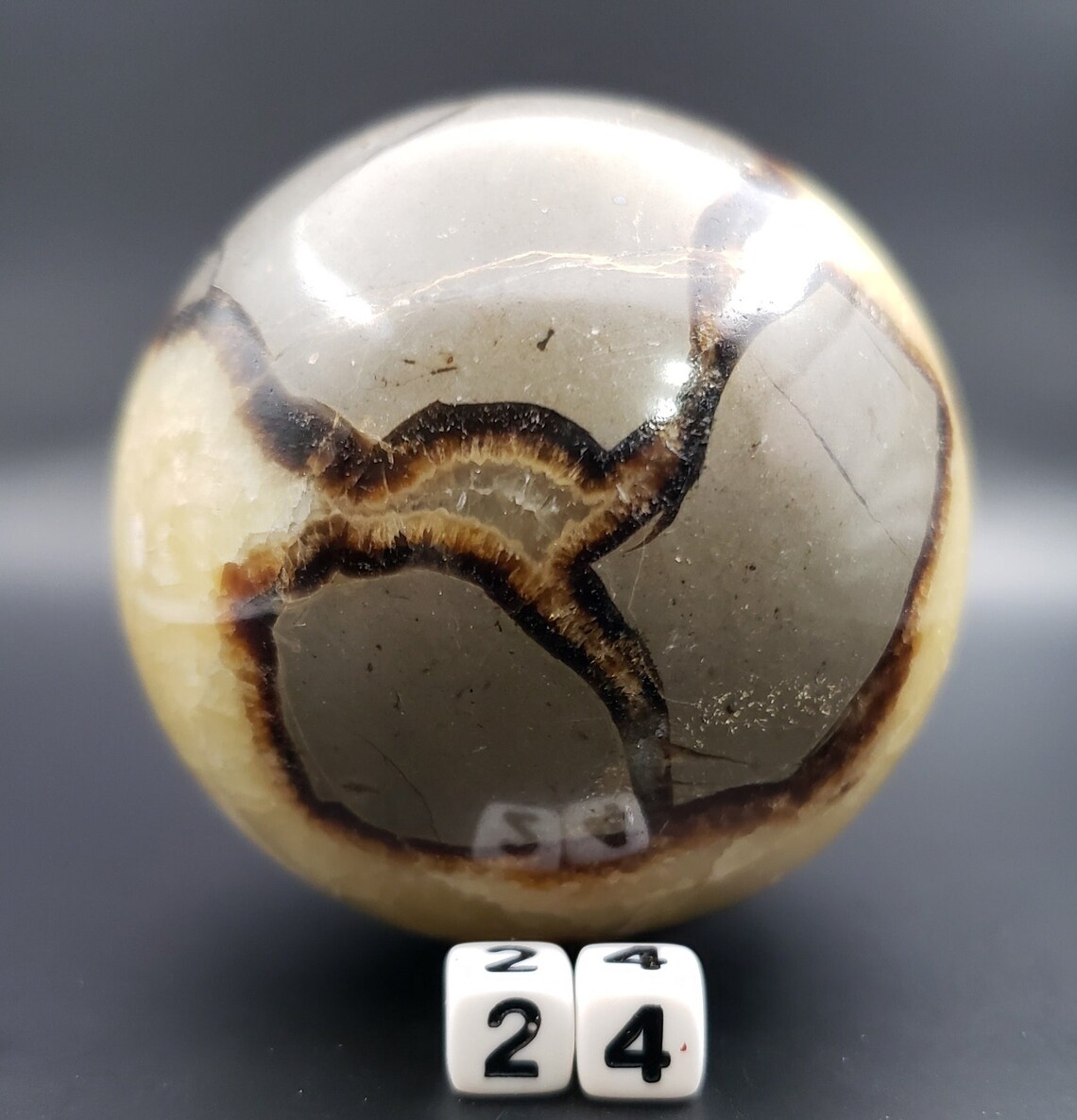 LARGE!!! SEPTARIAN DRAGON Stone Sphere Natural Stone Hand Carved ...