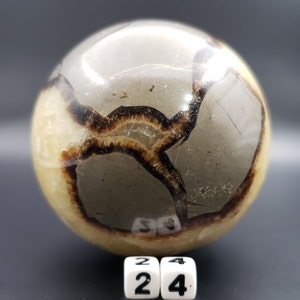 LARGE!!! SEPTARIAN DRAGON Stone Sphere Natural Stone Hand Carved ...