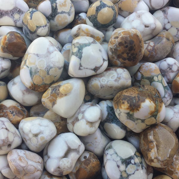 Spotted Stones - Etsy