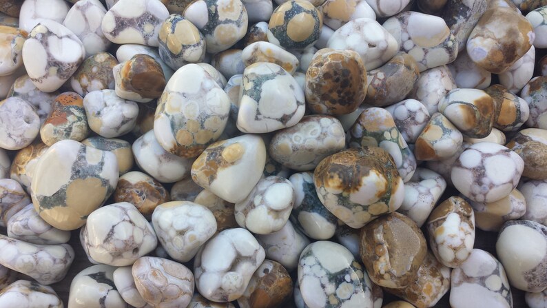 SPOTTED AGATE Tumbled Stone One 1 Medium/large Natural - Etsy