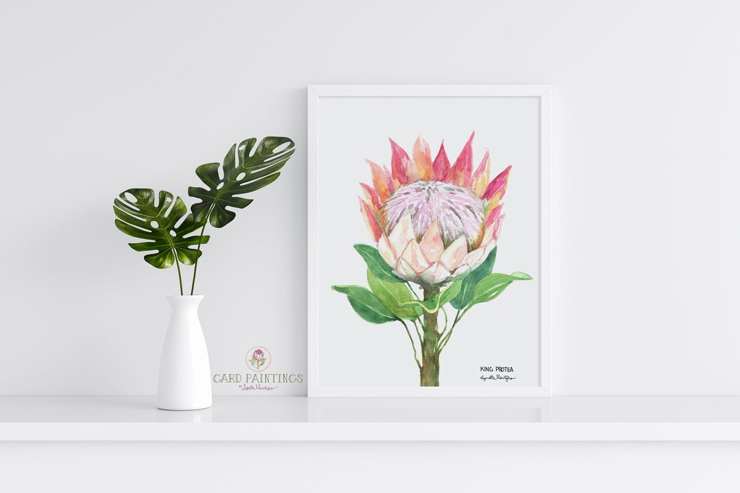 King Protea Watercolor Giglee Print, Watercolor Art Print, Protea ...