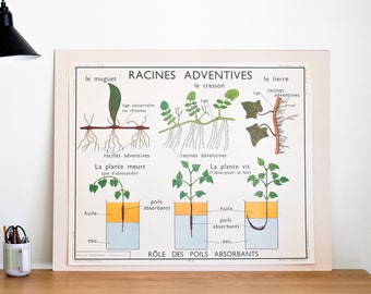 French Poster Classroom - Etsy