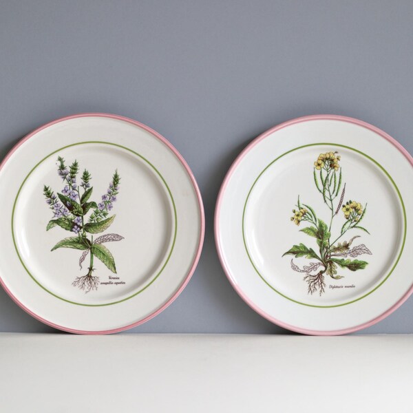 Botanical Plates - Etsy