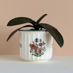 Vintage Spode China Rose Ceramic Pot - Etsy