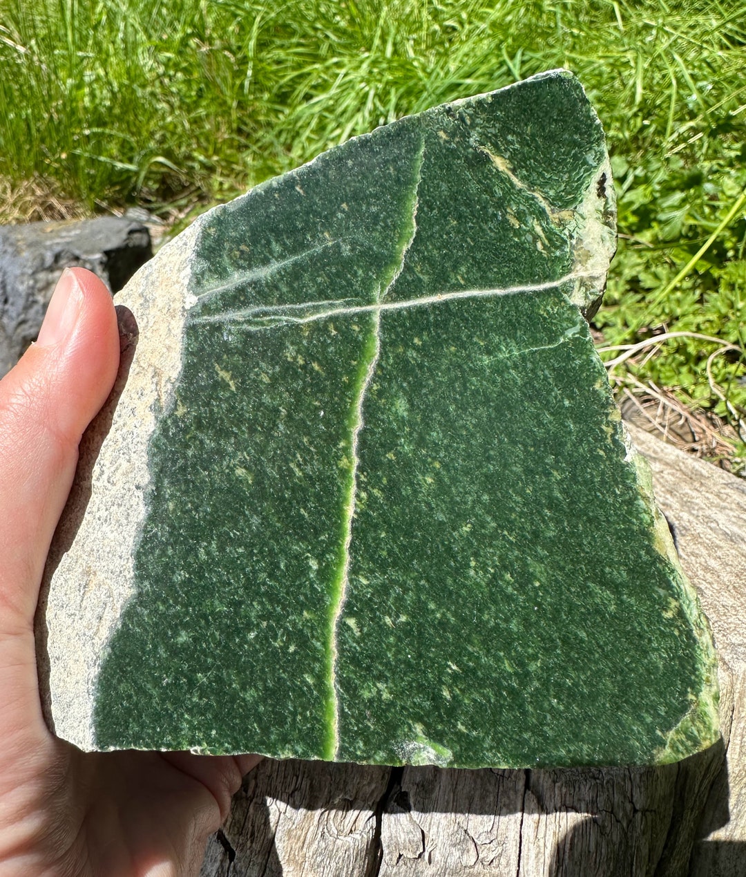 Wyoming Snowflake Emerald Jade Specimen, 2lbs 10oz - Etsy