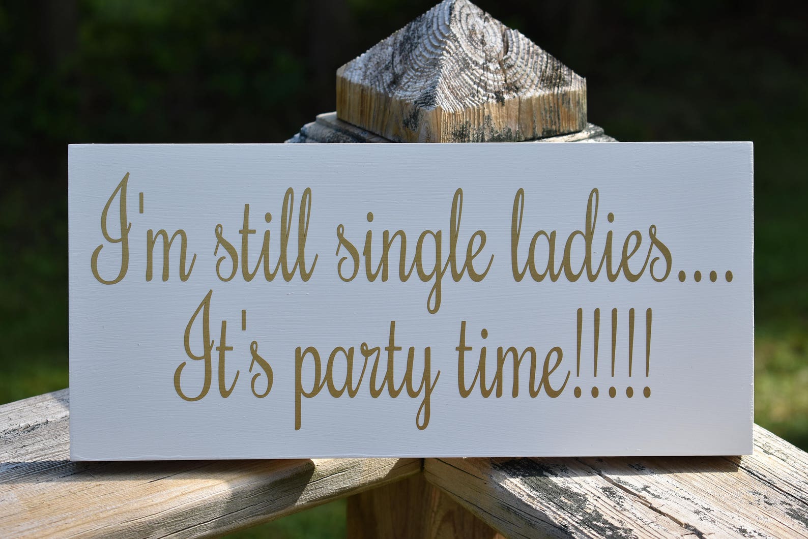 I'm Still Single Ladies... It's Party Time!!! Ring Bearer Sign, Wedding ...