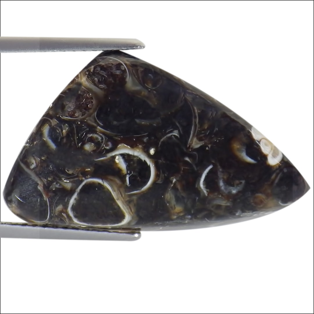 16,72 Ct Natürlicher Turtella Jaspis Edelstein Multi Color Fancy Cut ...