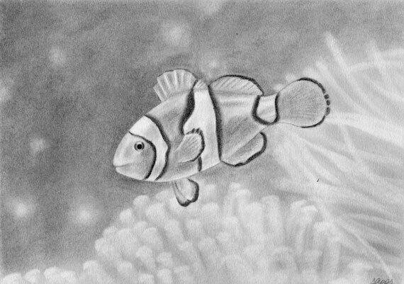 Nemo Fish Drawing