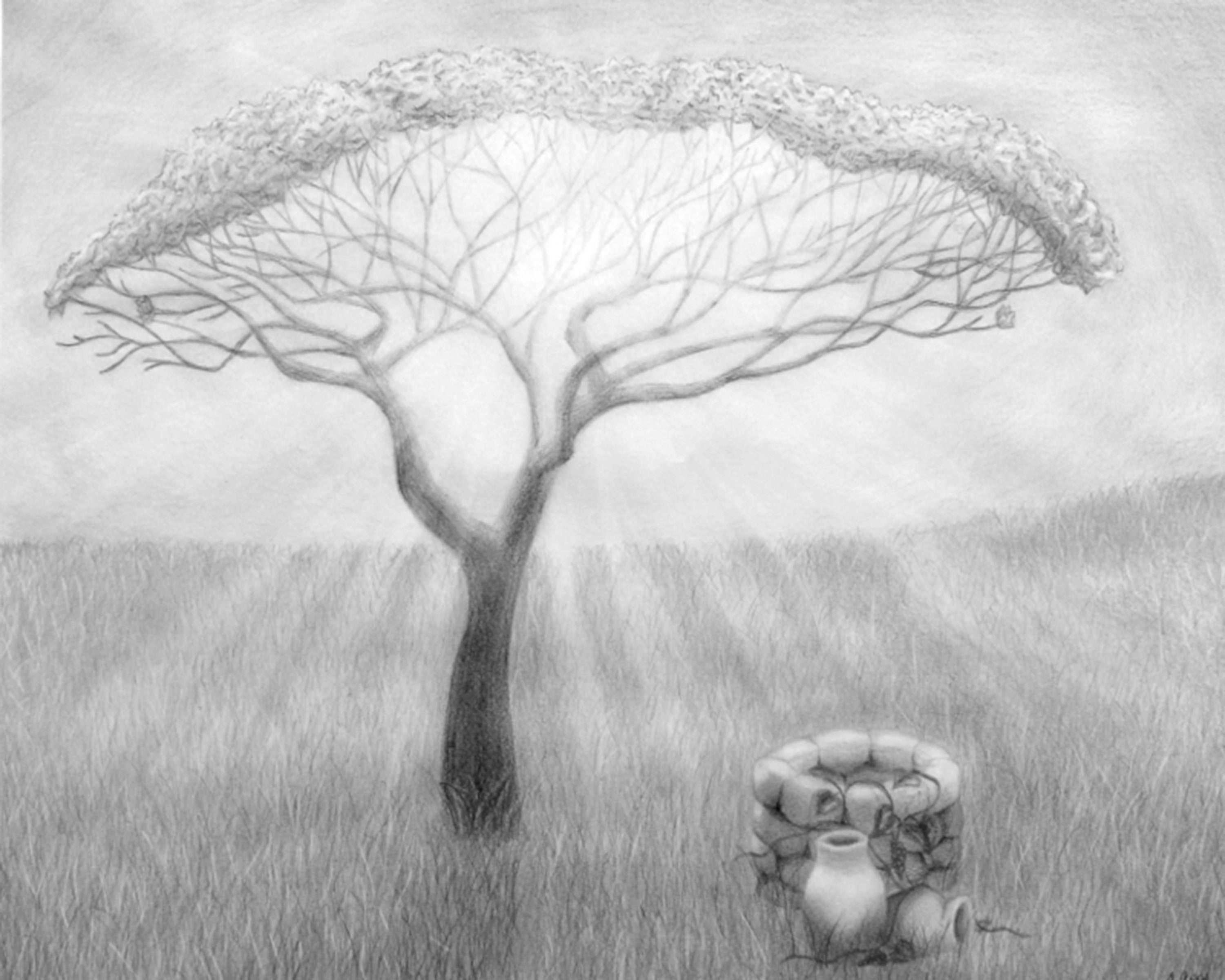 Tree Print Tree Drawing Christian Art Christian Print Inspirational Art ...