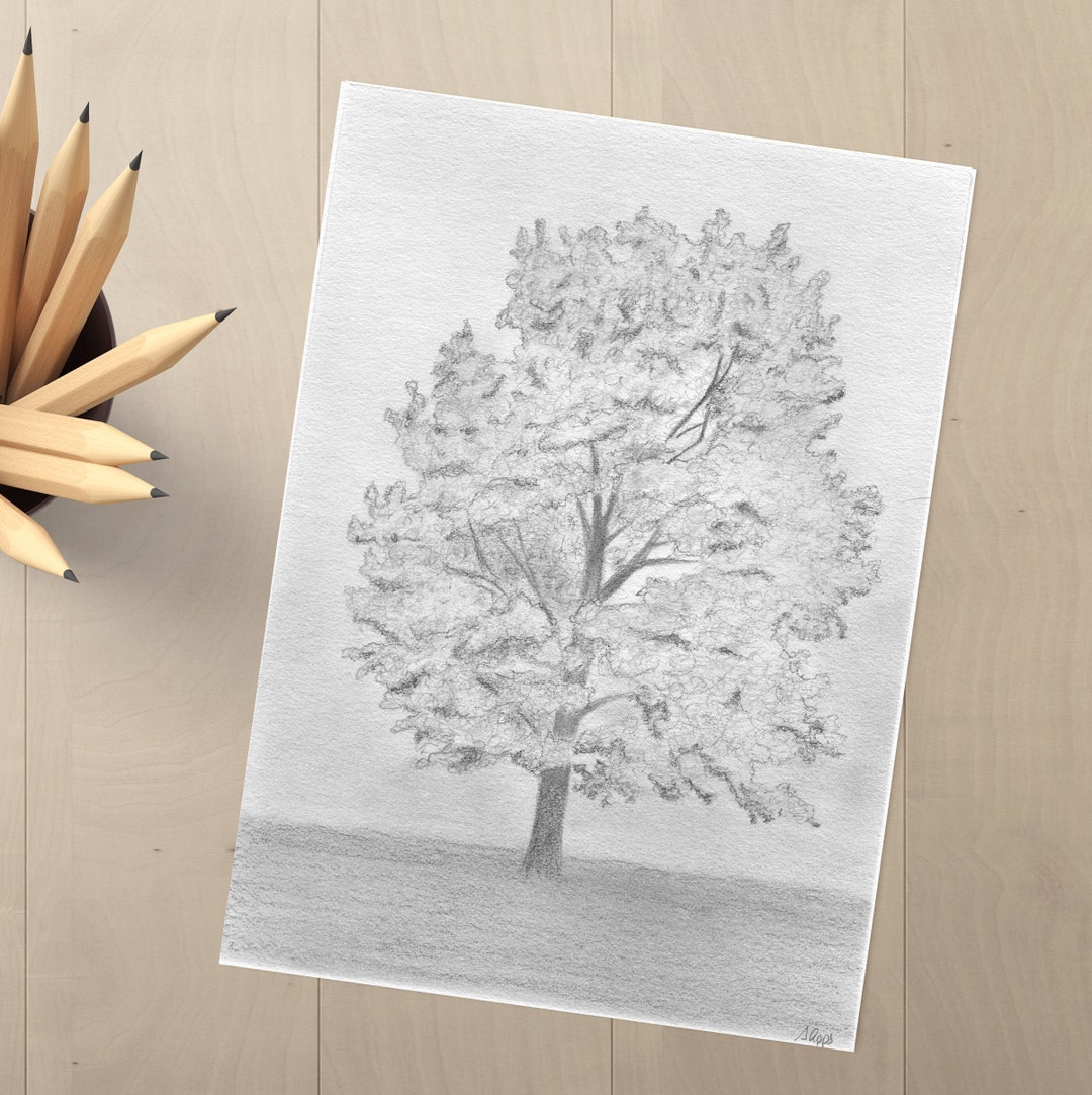 Tree Drawing - Maple Tree - Original Drawing - Tree Art - Tree Decor ...