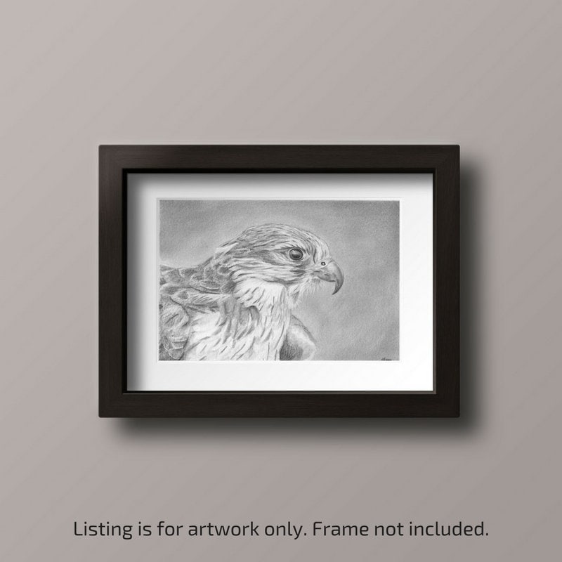 Falcon Print - Hawk Print - Bird of Prey Print - Bird Print - Bird Art ...