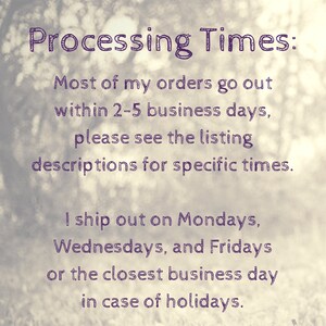 Falcon Print - Hawk Print - Bird of Prey Print - Bird Print - Bird Art ...