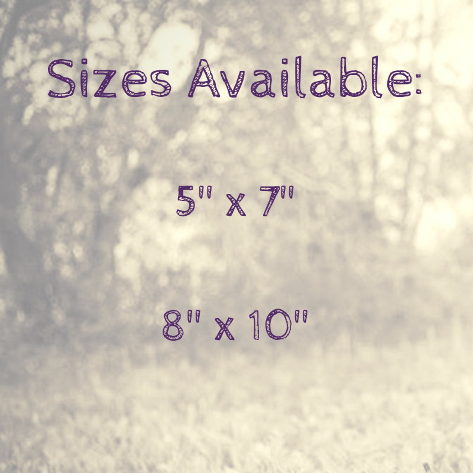 Falcon Print - Hawk Print - Bird of Prey Print - Bird Print - Bird Art ...