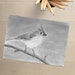 Tufted Titmouse Drawing Tufted Titmouse Bird Art Bird - Etsy