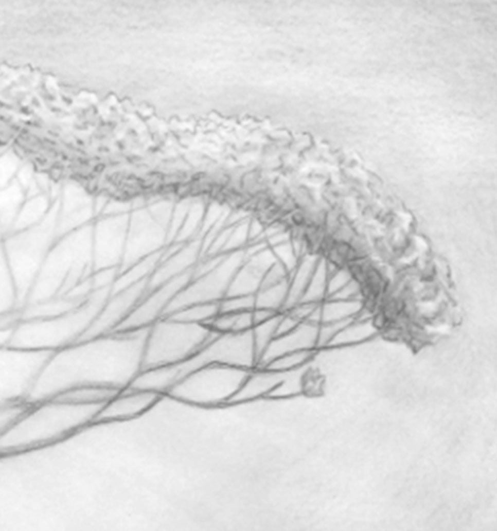 Tree Print Tree Drawing Christian Art Christian Print Inspirational Art ...