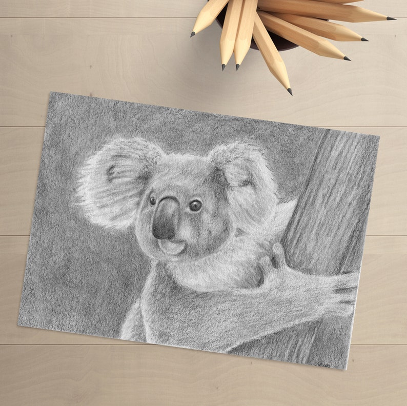 Koala Drawing - Pencil Drawing - Koala Bear - Original Drawing - Koala ...