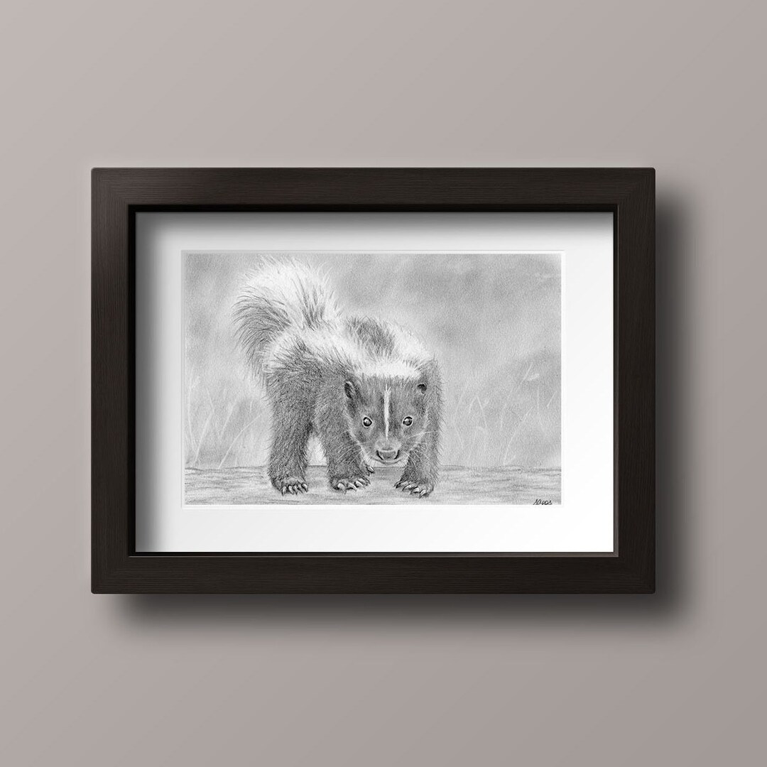 Skunk Print - Skunk Art - Skunk Decor - Skunk Wall Art - Baby Skunk ...