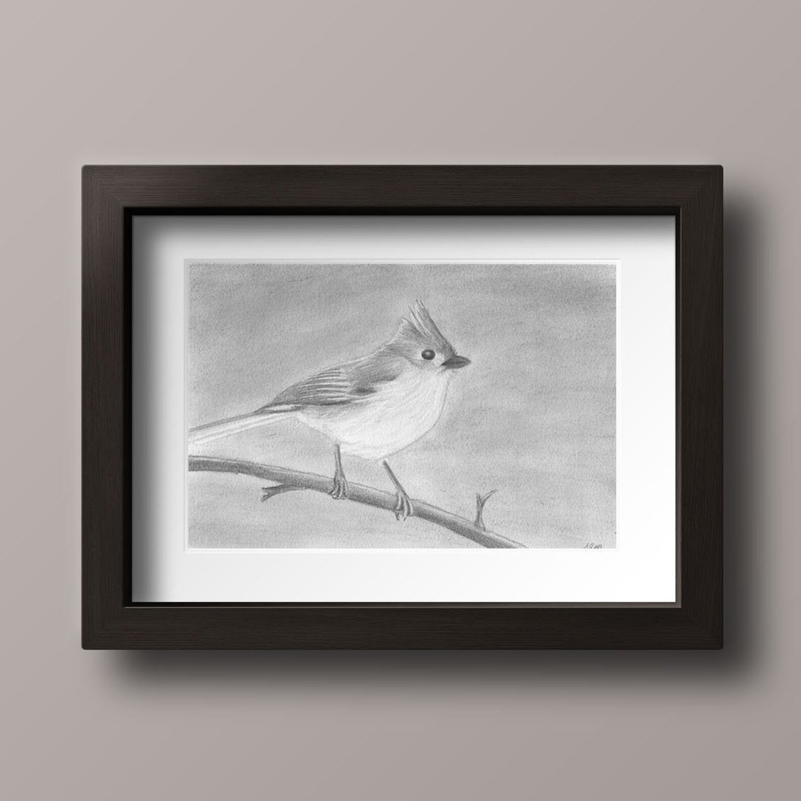 Tufted Titmouse Drawing Tufted Titmouse Bird Art Bird Decor Bird ...