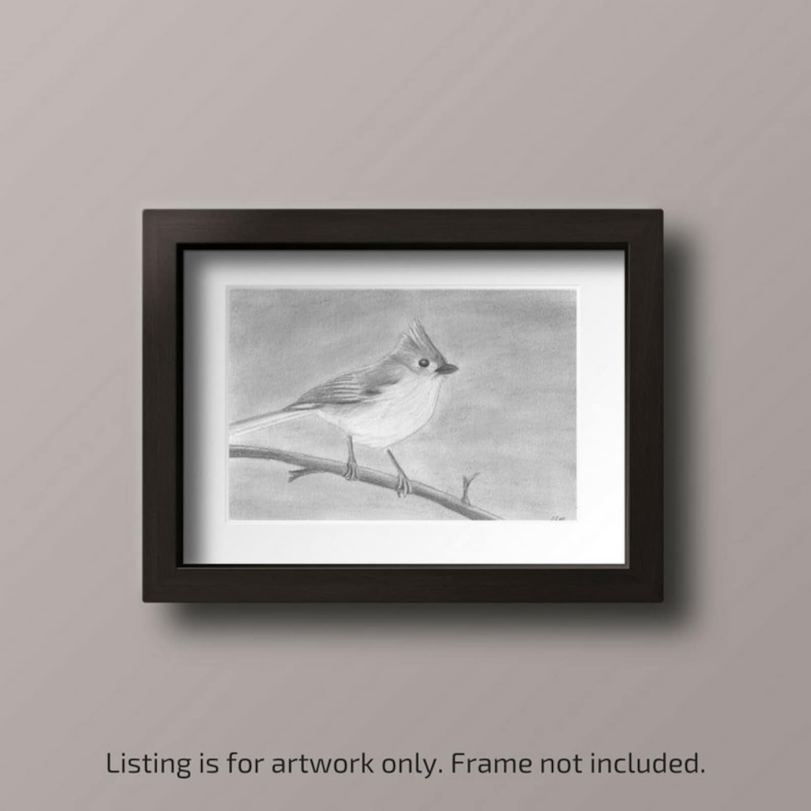 Tufted Titmouse Drawing Tufted Titmouse Bird Art Bird - Etsy