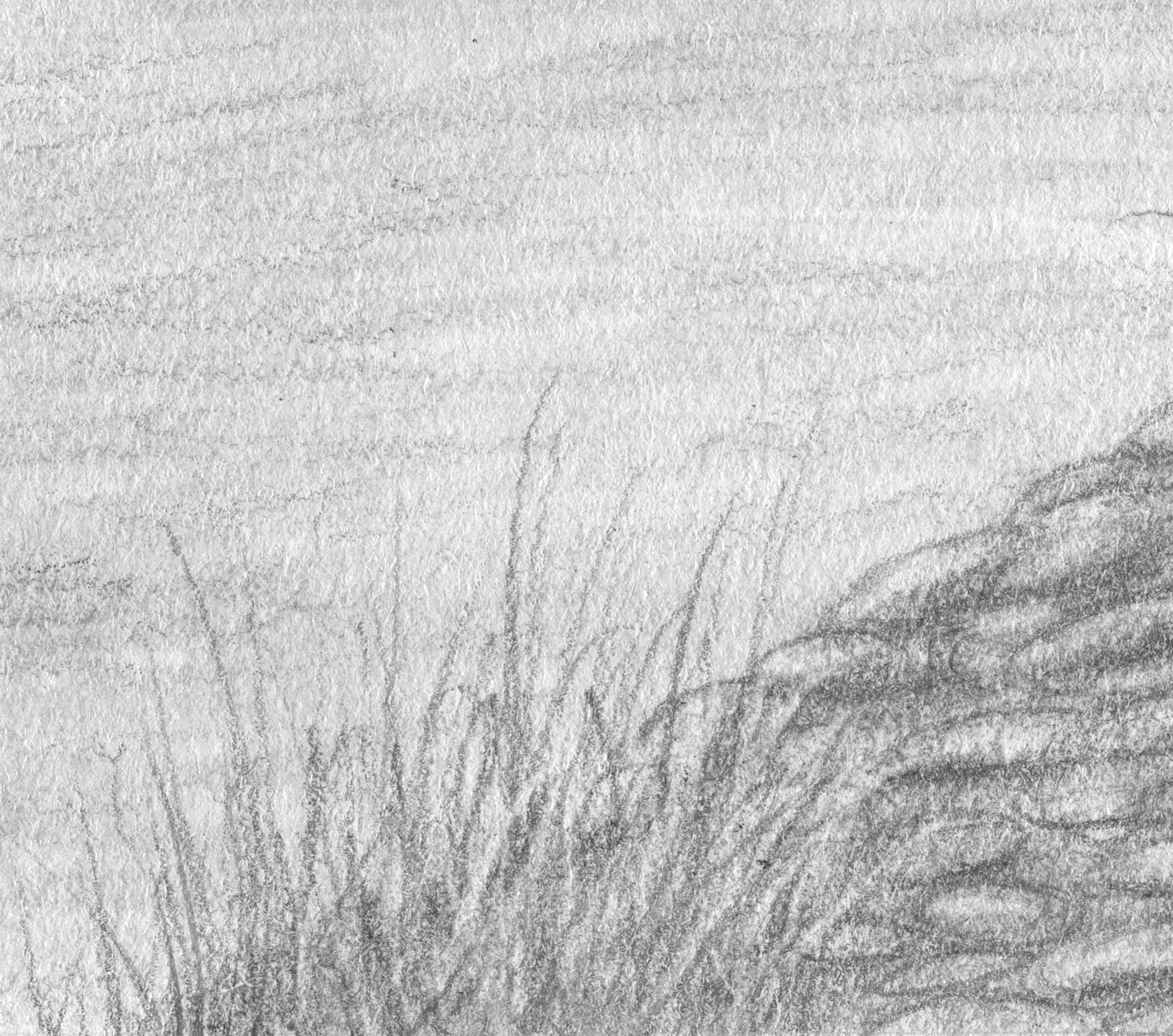 River Drawing - River Art - River Artwork - Landscape Art - Original ...