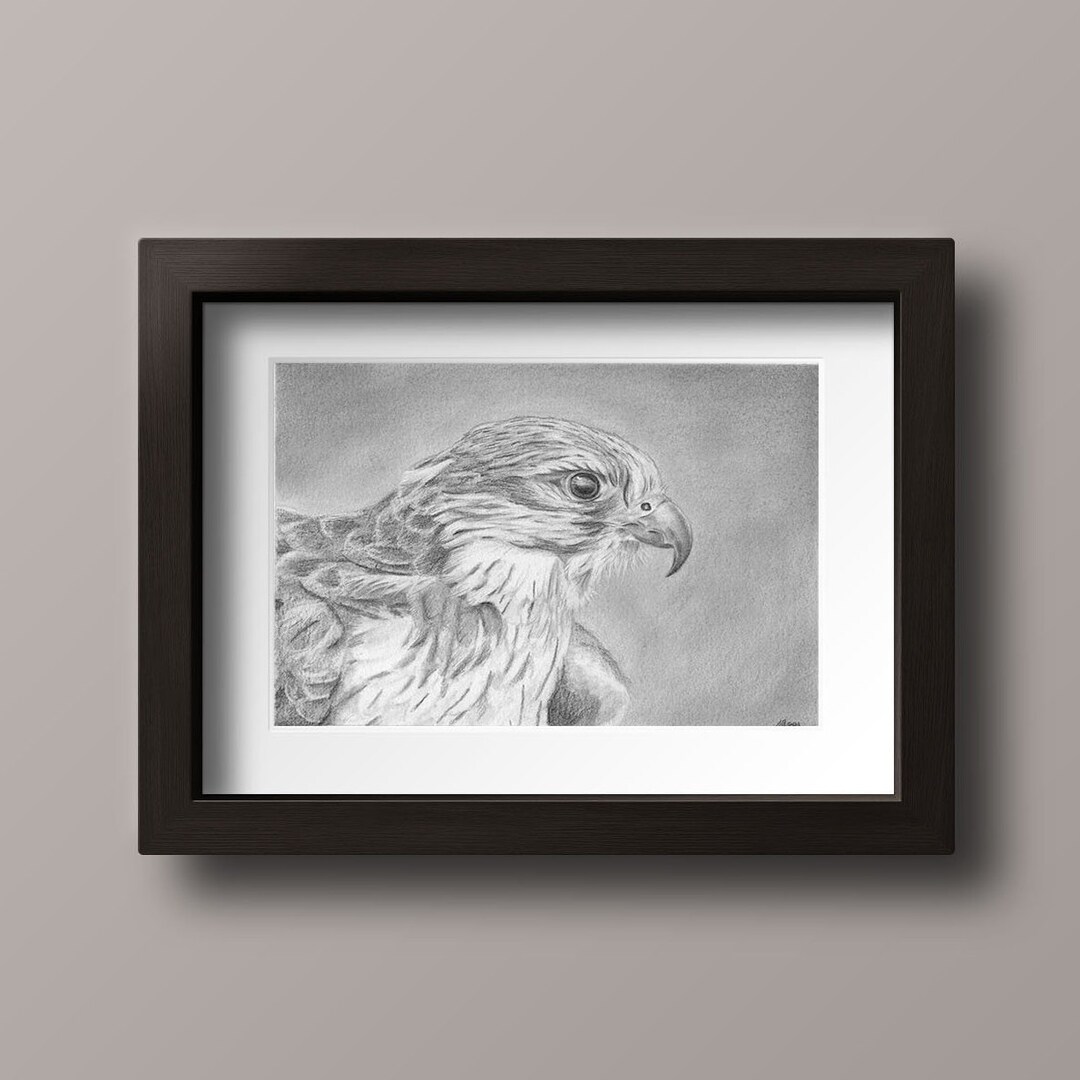 Falcon Print - Hawk Print - Bird of Prey Print - Bird Print - Bird Art ...