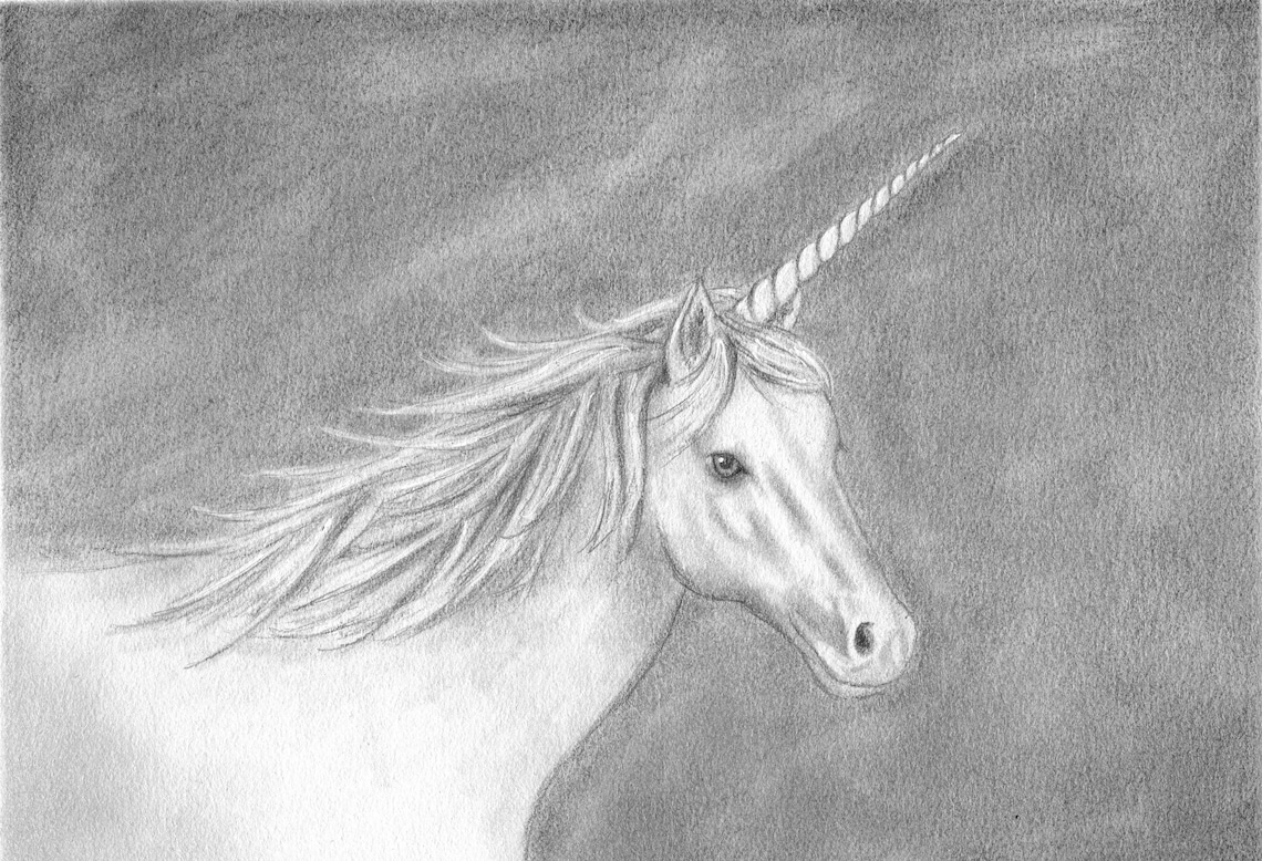 Unicorn Drawing Pencil Drawing Unicorn Original Drawing - Etsy