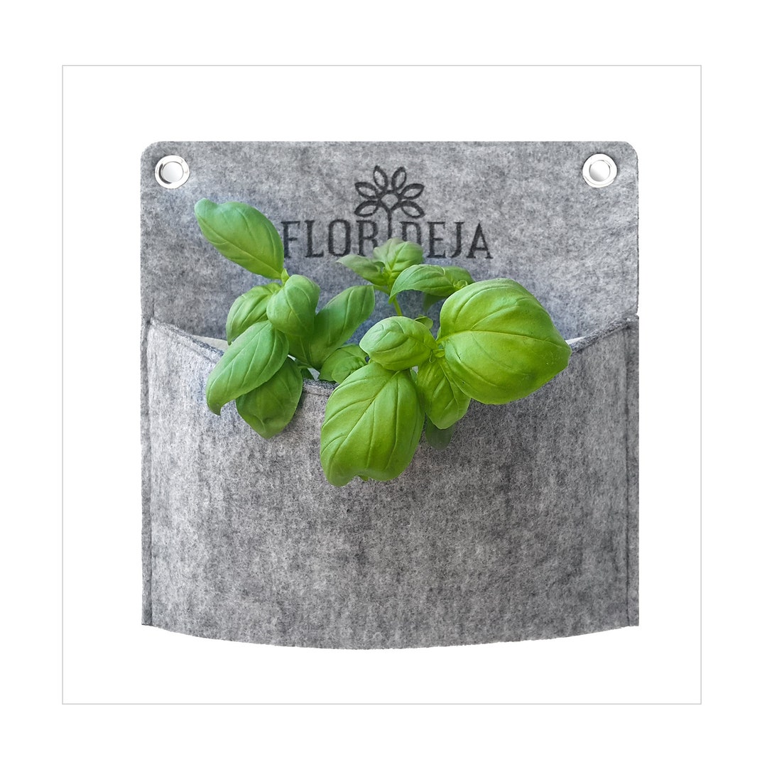 Spring, Mini Planter, Herb Planter, Wall Pocket Planter, Wall Planter ...