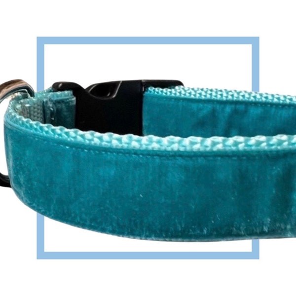 Turquoise Dog Collar - Etsy