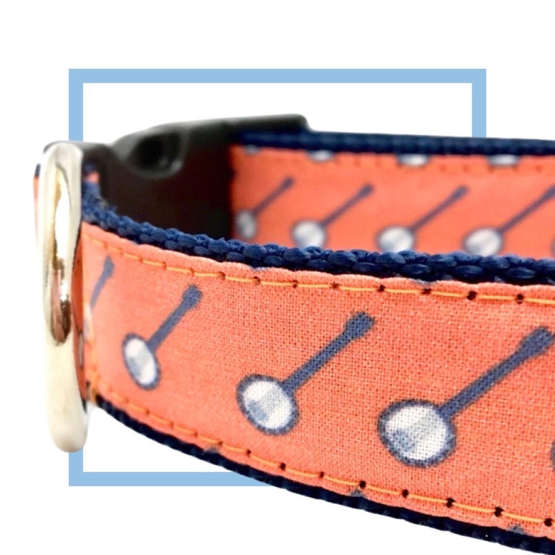 Banjo Dog Collar, Harness or Leash With Personalized Engraved Buckle ...
