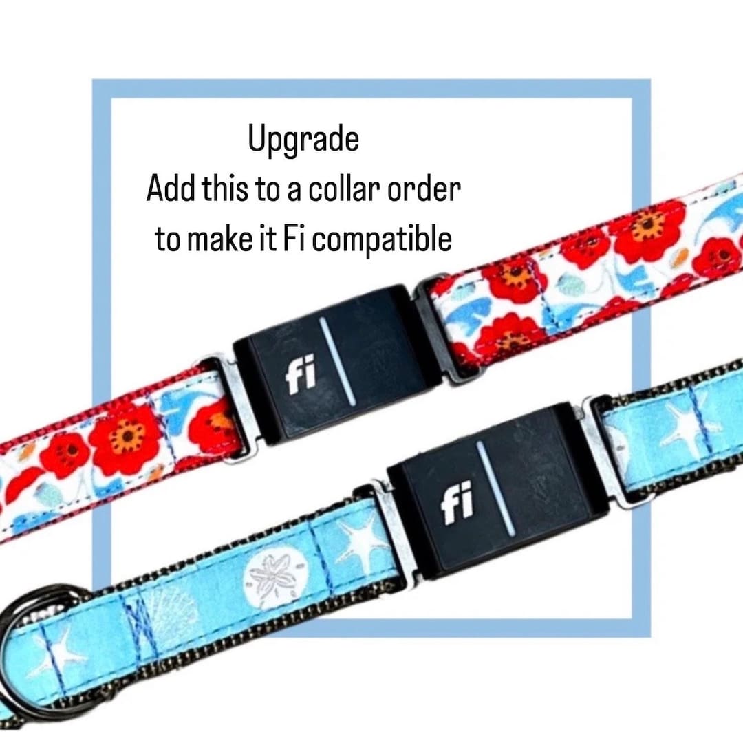 Fi Series 3/3+ End Links: Add-on for Dog Collars - Etsy