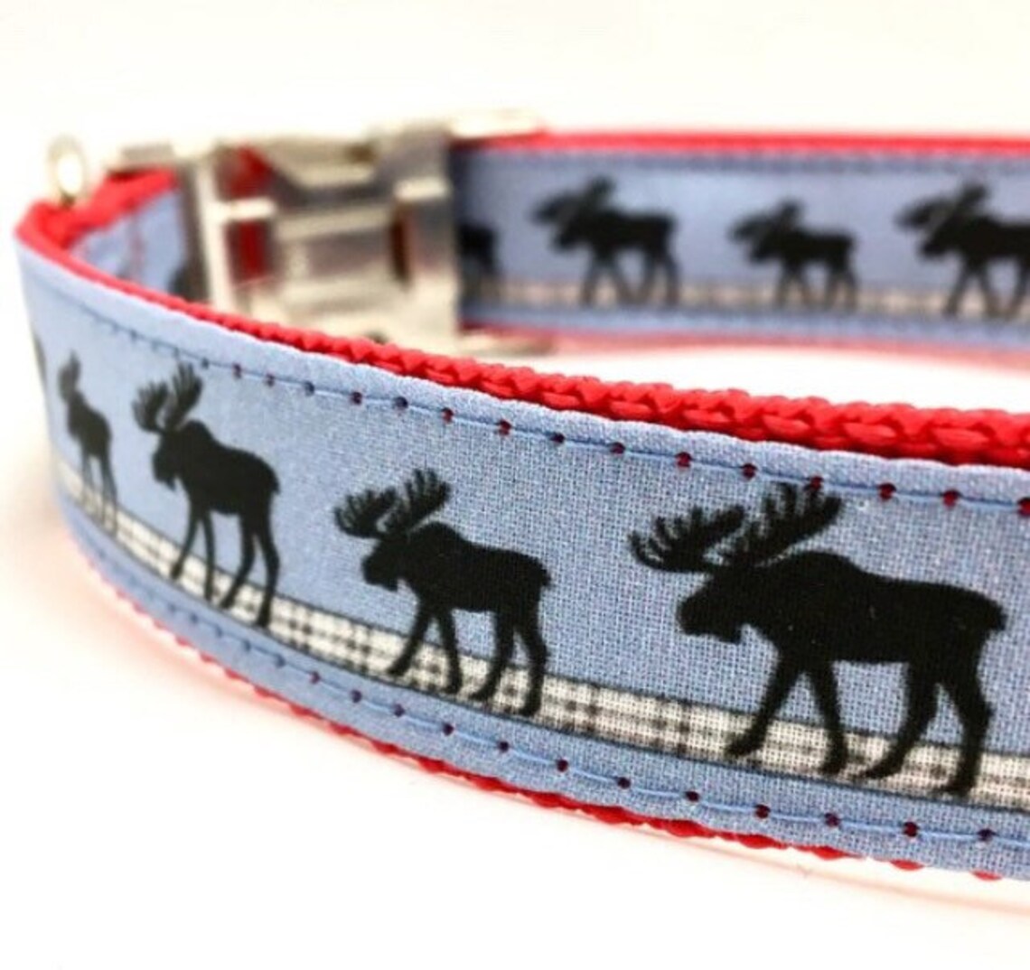 Moose Dog Collar Leash or Harness With Personalized Engraved - Etsy