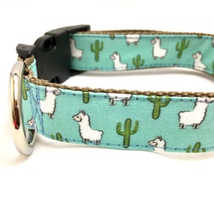 Llama and Cactus Dog Collar Leash or Harness With - Etsy