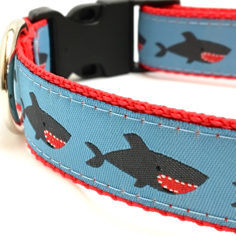 Shark Dog Collar Harness or Leash With Personalized Engrave - Etsy
