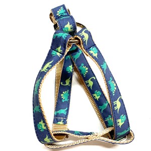 Dinosaur Parade Dog Collar, Harness or Leash With Personalized Engraved ...
