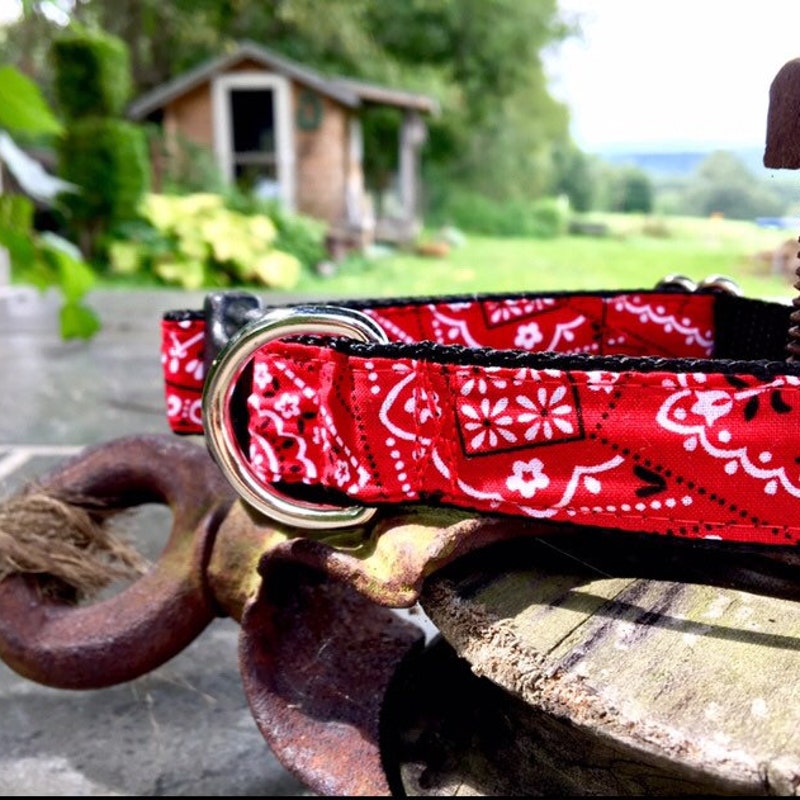 Western Dog Collar - Etsy