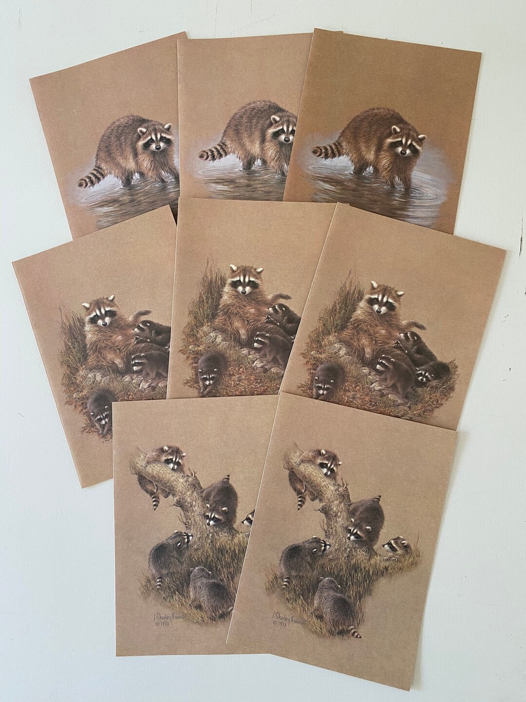 Vintage Box of Raccoon Note Cards 1977 Raccoons Stationery by - Etsy