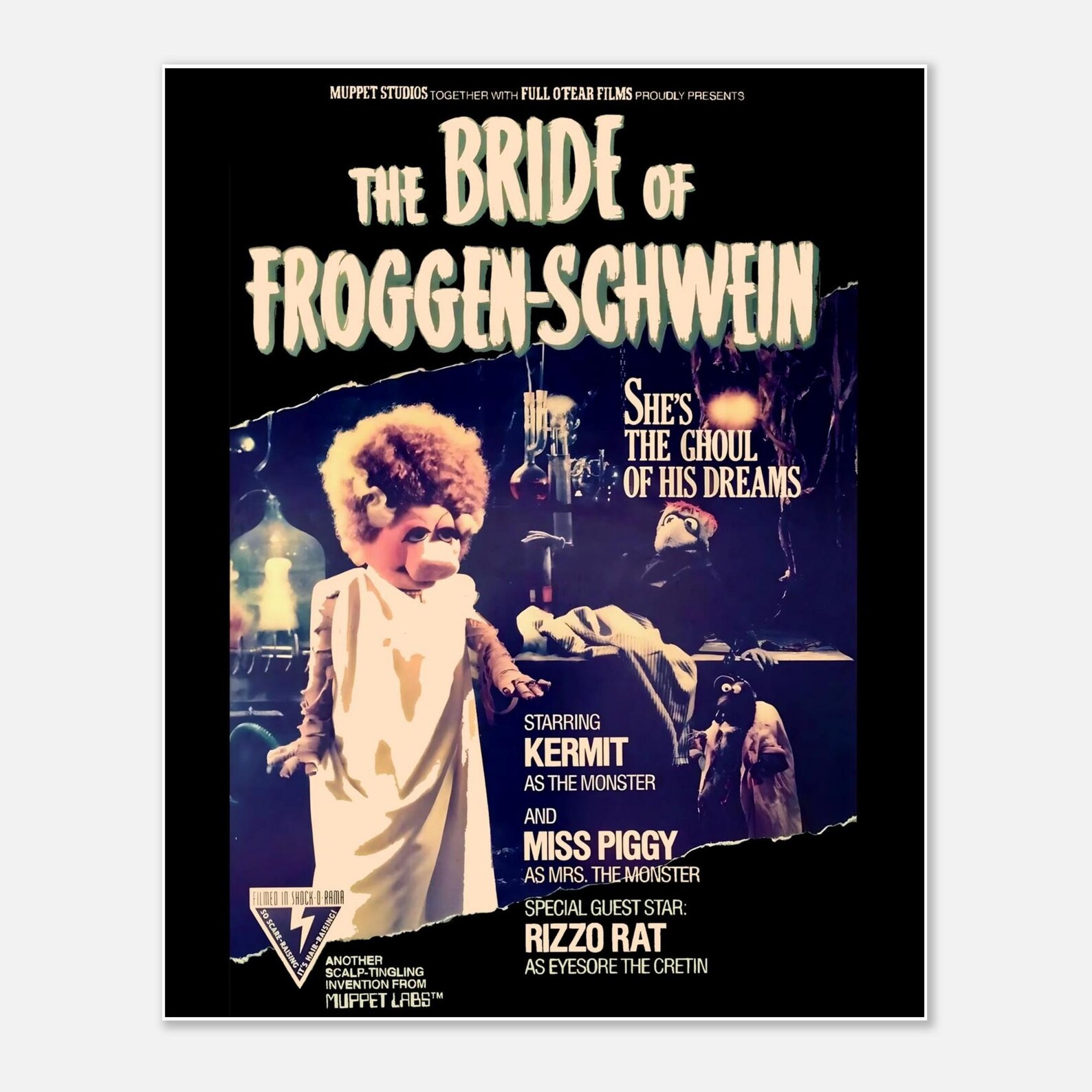 Muppet Vision 3D: Bride of Frankenstein Spoof Poster - Bride of Froggen ...