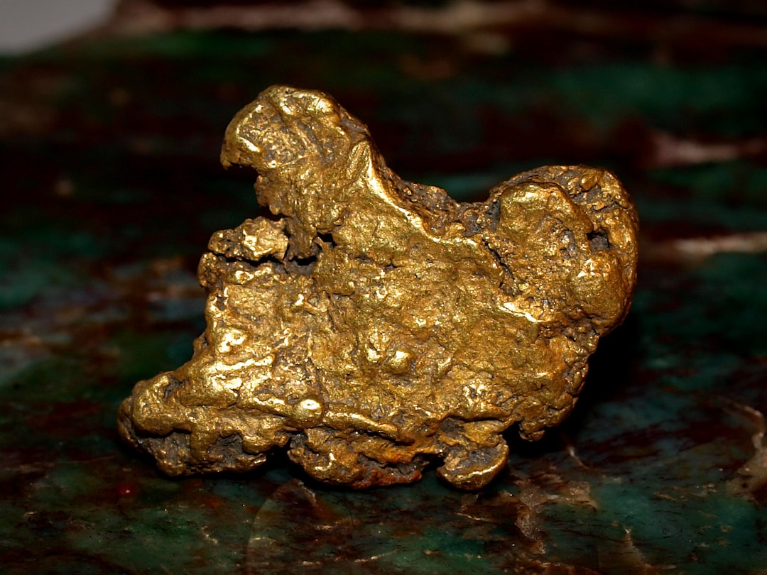 Genuine Alaska Gold Nugget Specimen Raw Fairbanks Alaska Gold Ethically ...