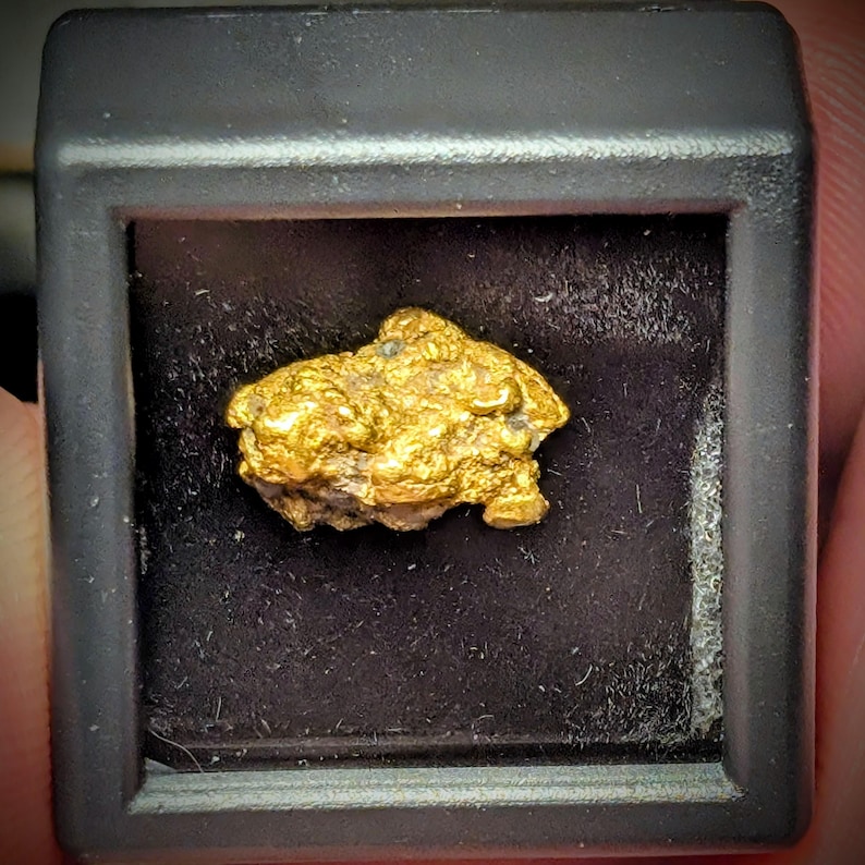 California Gold Nugget - American Mined Gold - Genuine Gold Specimen ...
