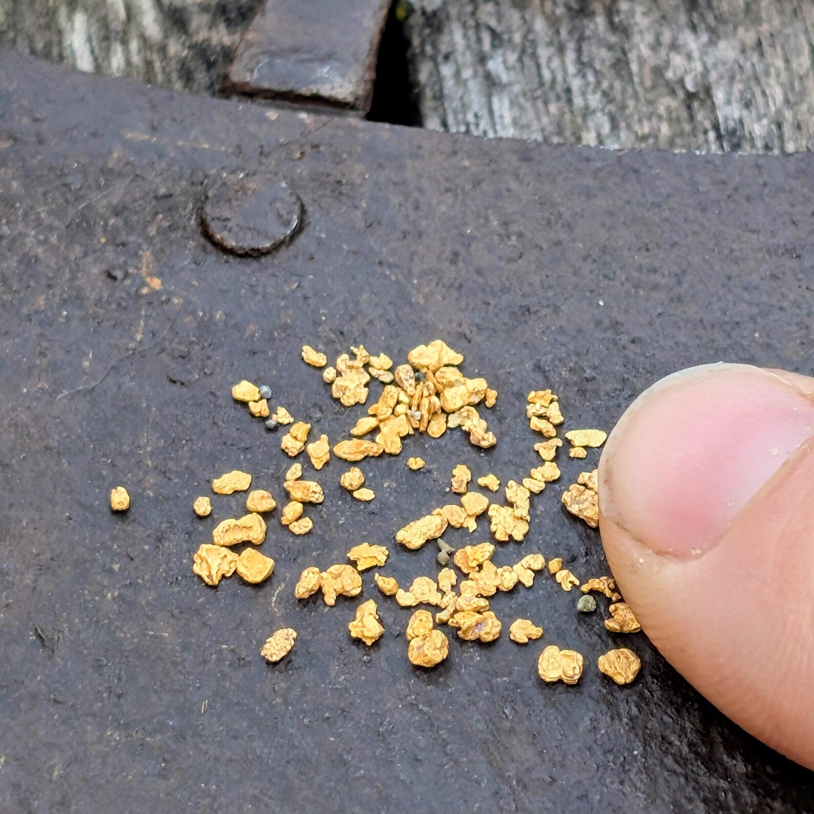 California Gold Dust Vial - American Mined Gold - Genuine Mineral ...