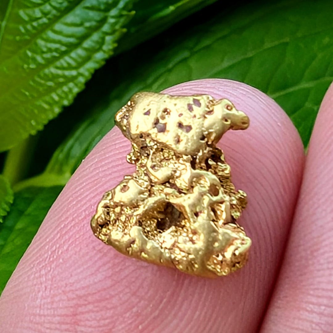 Alaska Gold Nugget - American Mined Gold - Genuine Gold Specimen - Raw ...