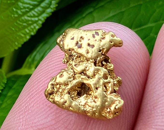 Alaska Gold Nugget - American Mined Gold - Genuine Gold Specimen - Raw ...