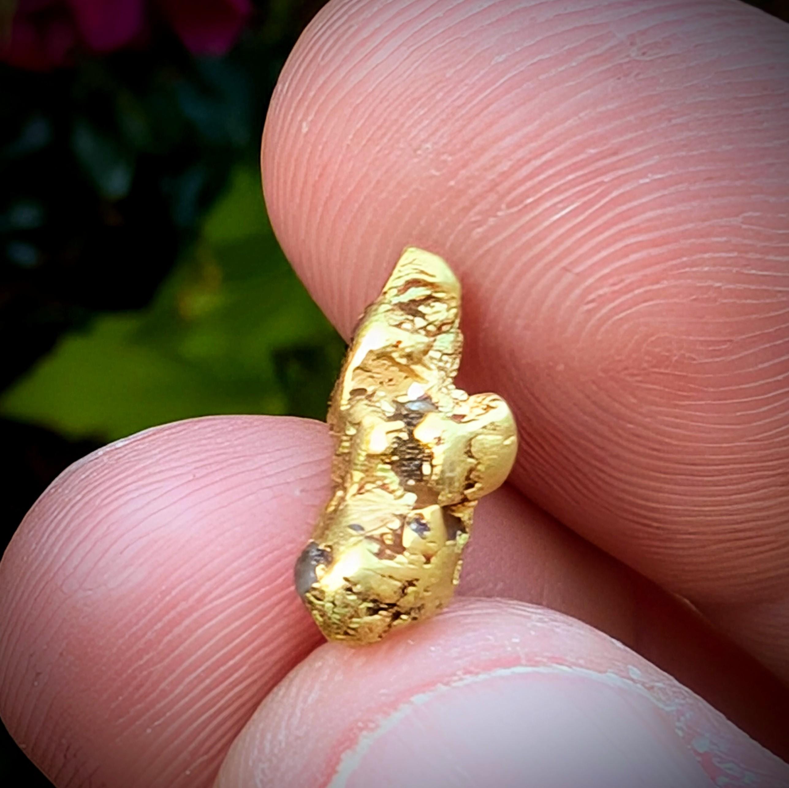 Alaska Gold Nugget - American Mined Gold - Genuine Gold Specimen - Raw ...