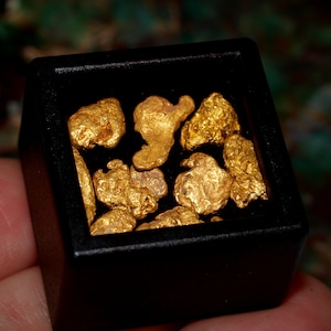 Arizona Gold Nuggets Authentic Natural Placer Gold Raw Gold Nuggets ...
