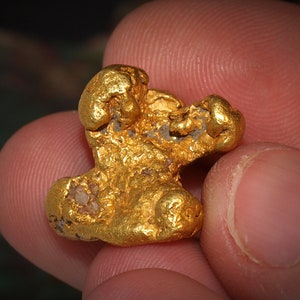 Genuine Alaska Gold Nugget Specimen - Raw Fairbanks Alaska Gold ...