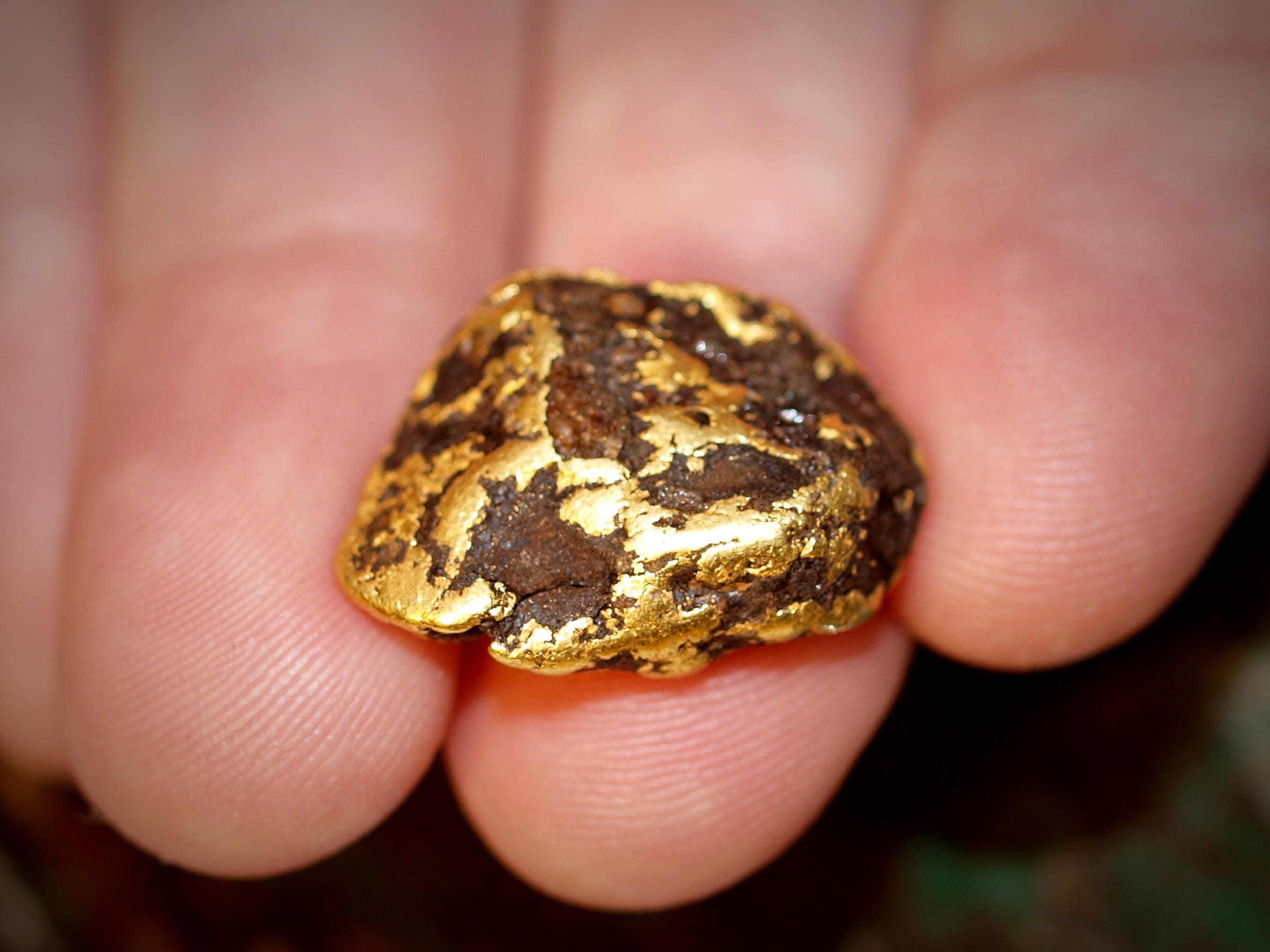 Genuine Alaska Gold Nugget Specimen - Raw Fairbanks Alaska Gold ...