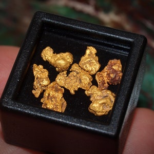 Arizona Gold Nuggets Authentic Natural Placer Gold Coarse Raw Gold ...