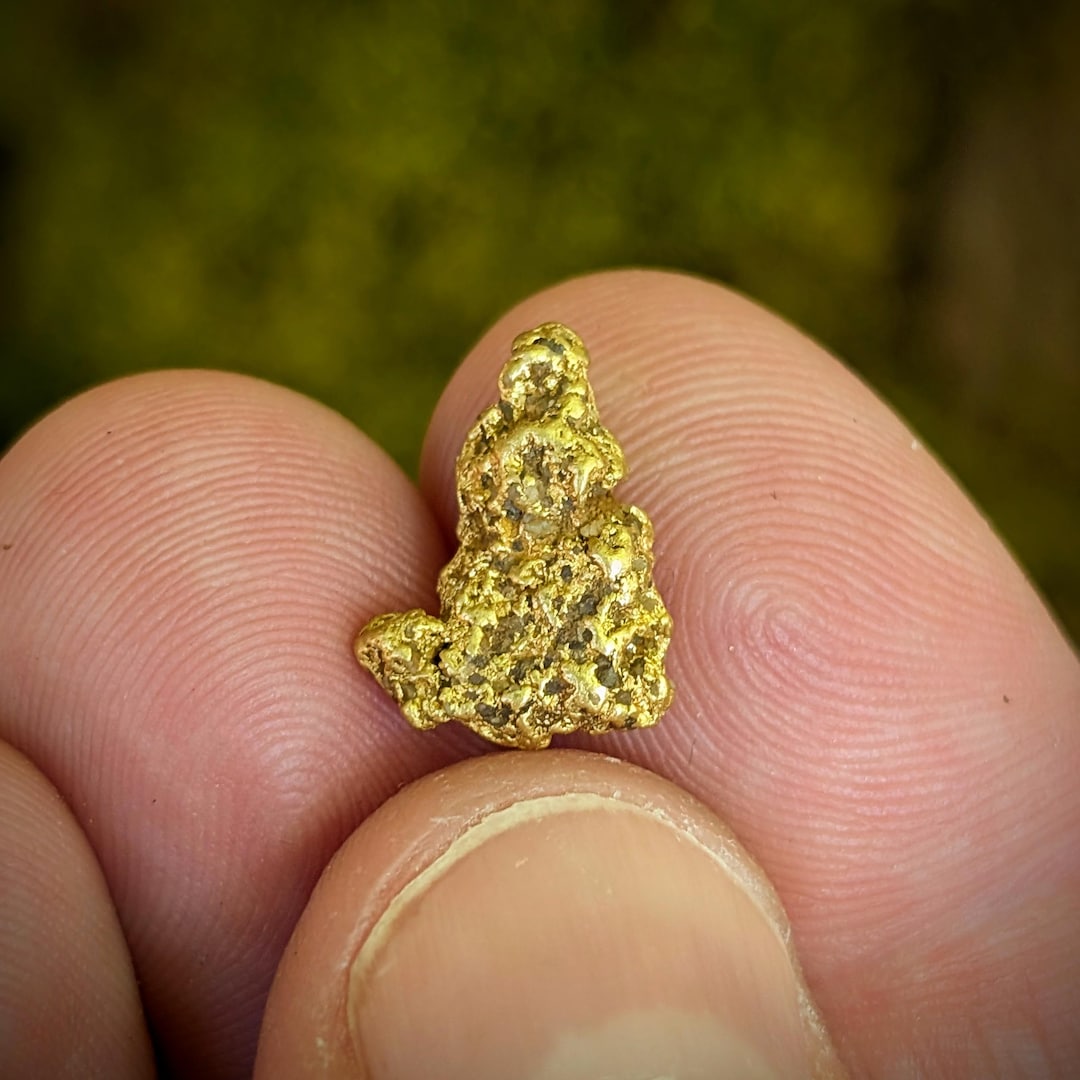 American Mined Gold Nugget - Genuine Gold Specimen - Raw Fairbanks ...