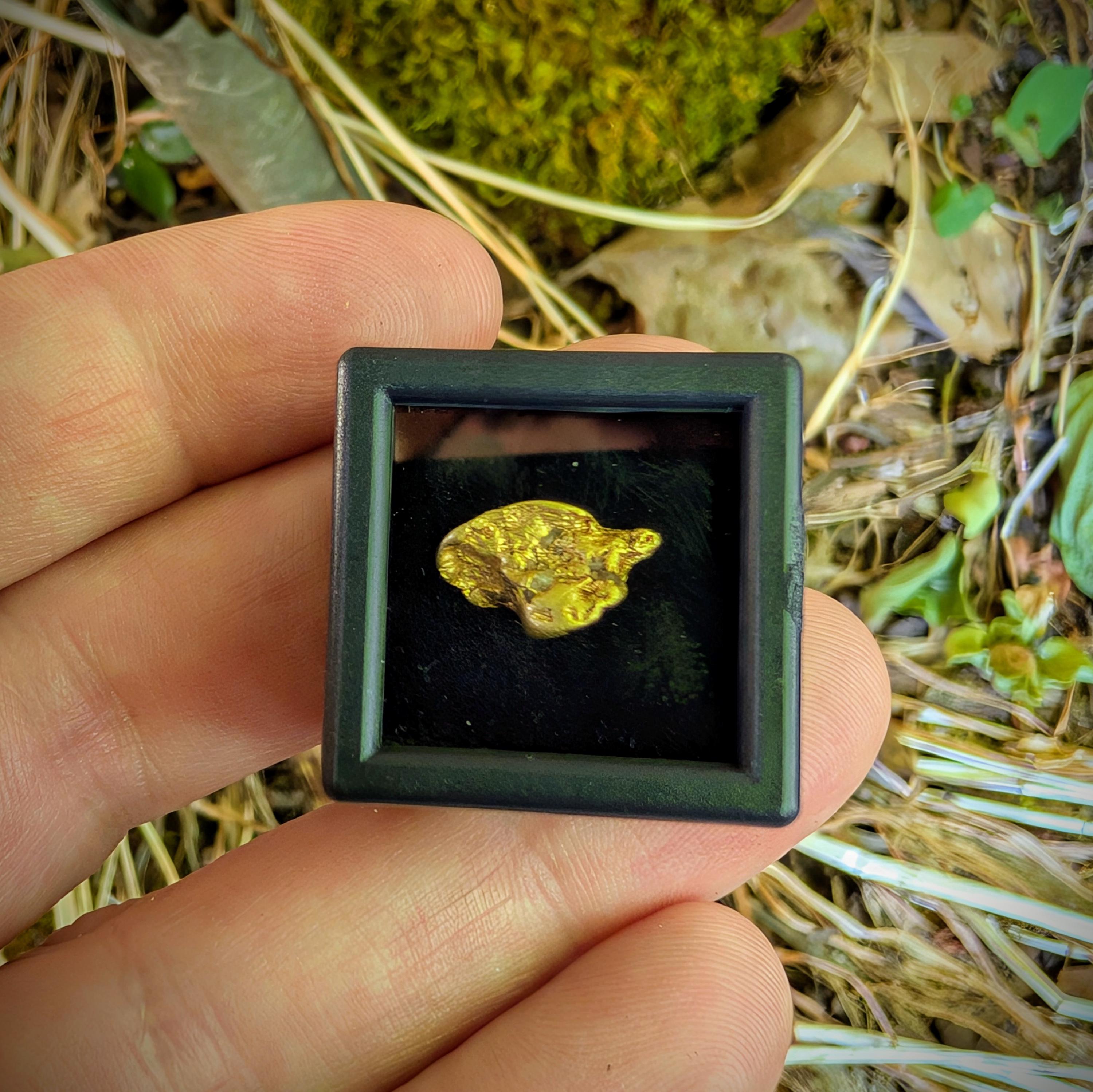 American Mined Gold Nugget - Genuine Gold Specimen - Raw Fairbanks ...
