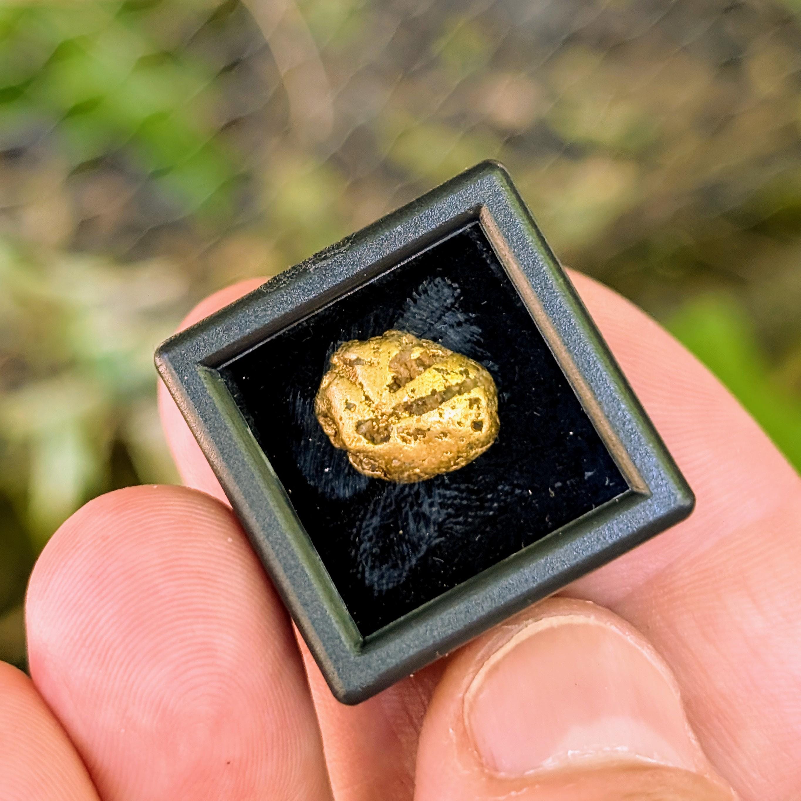 American Mined Gold Nugget - Genuine Gold Specimen - Raw Fairbanks ...